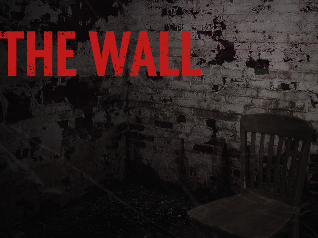 The Wall | Indiegogo
