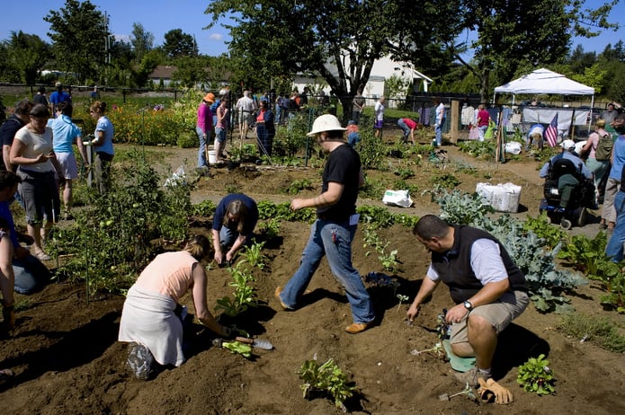 Swissvale Community Garden | Indiegogo