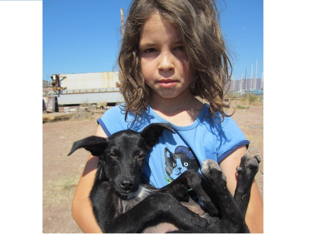 Frances Helping La Paz Pets | Indiegogo