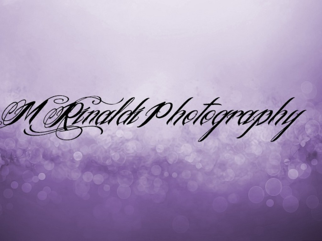 M. Rinaldi Photography | Indiegogo