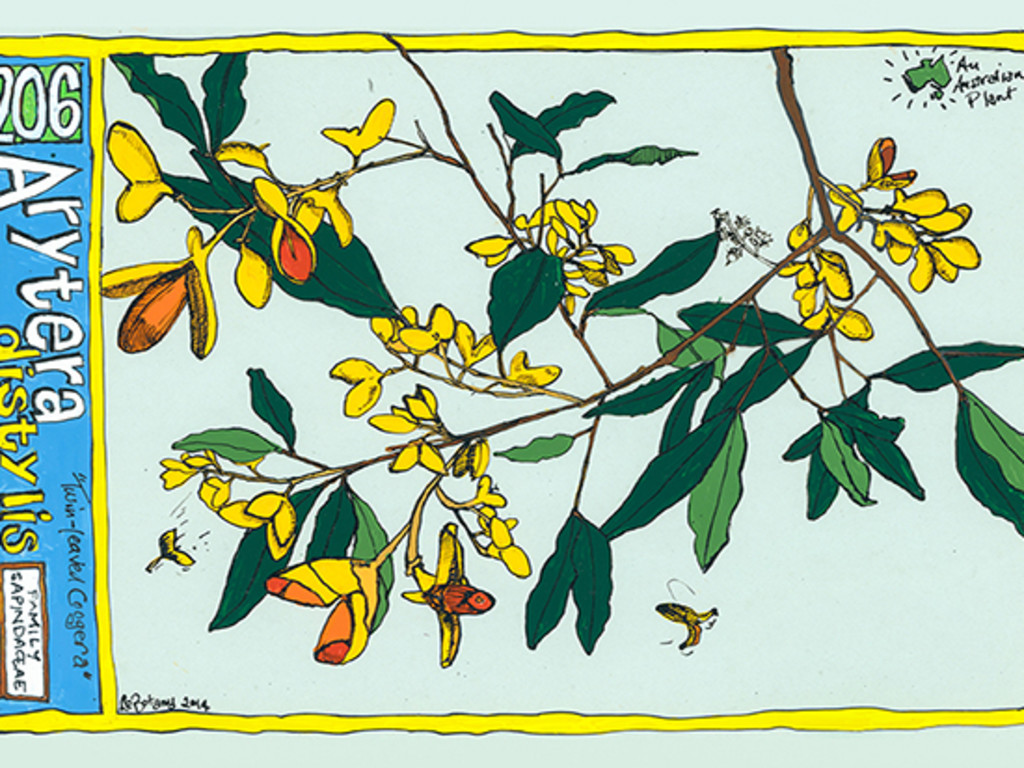 Tim Roberts: first exhibition & book launch | Indiegogo