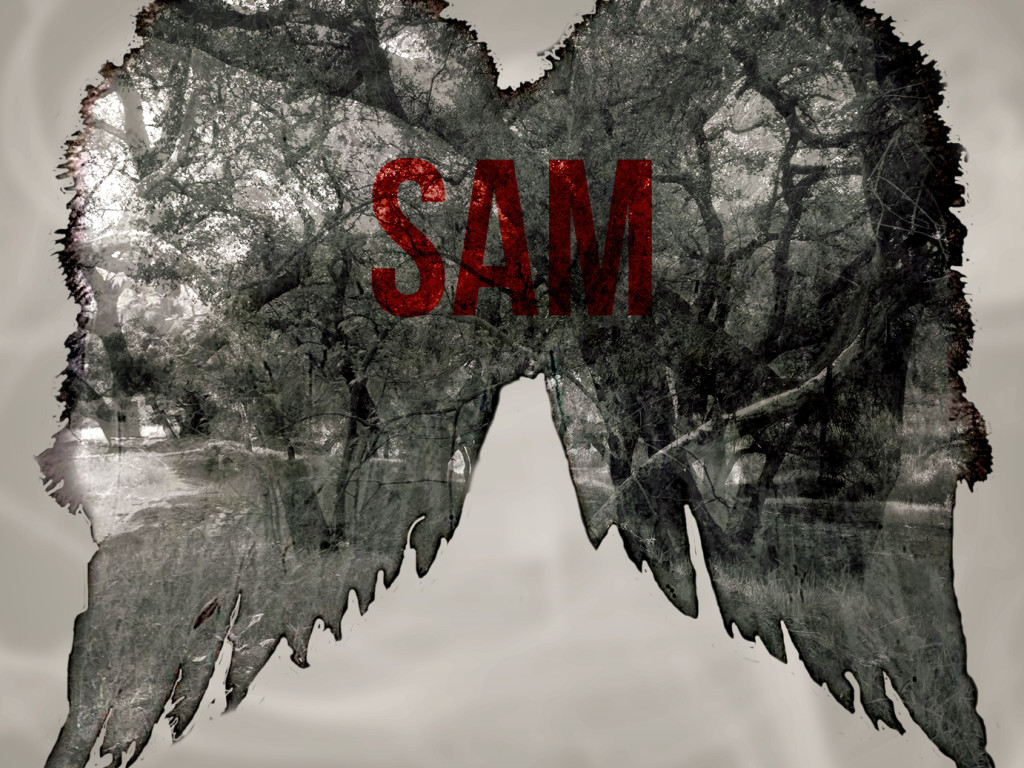 SAM: the short film | Indiegogo
