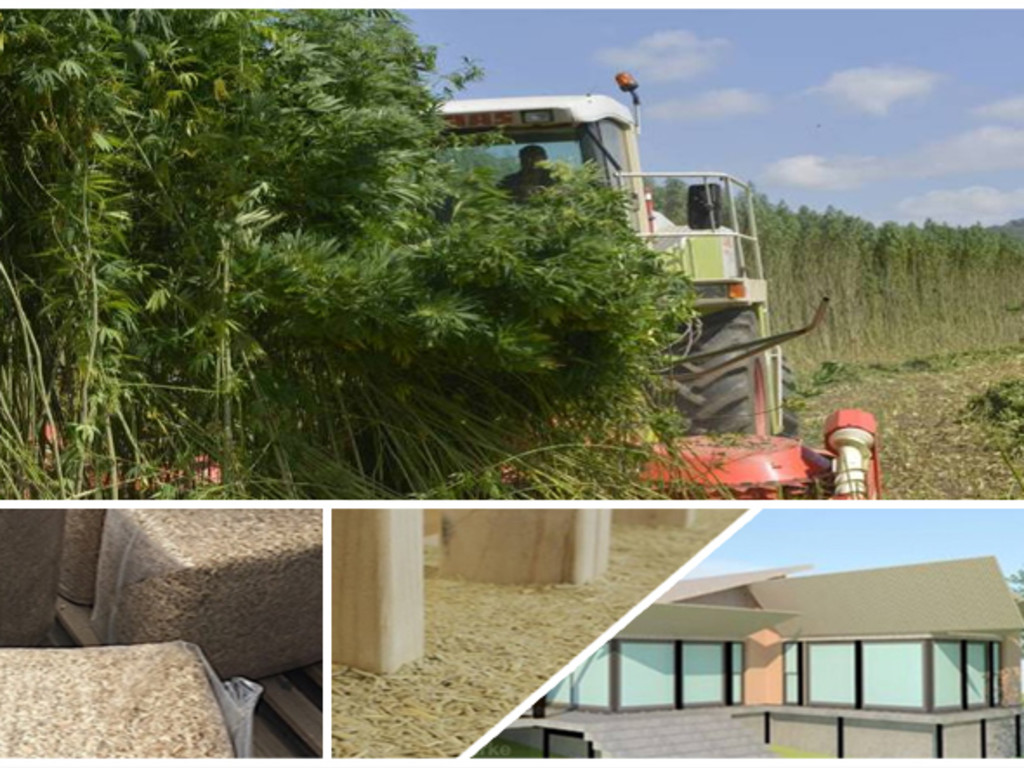 Hemp Houses: building a renewable future | Indiegogo