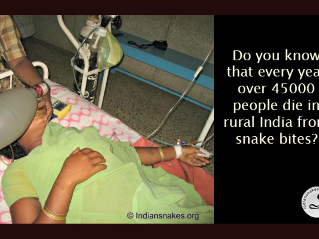 Save lives of snake bite victims with anti-venom | Indiegogo