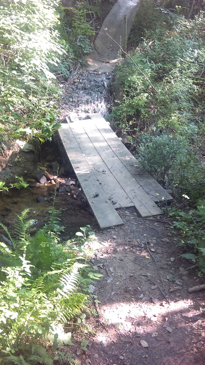 Springbrook HS Bridge Project | Indiegogo