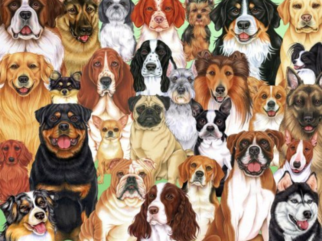 WikiDog - mobile encyclopaedia of all dog's breeds | Indiegogo