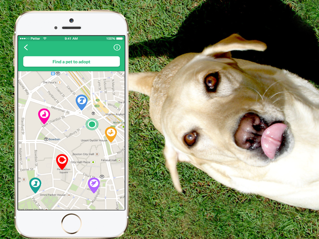 PetMeHome-The Pet Adoption App | Indiegogo
