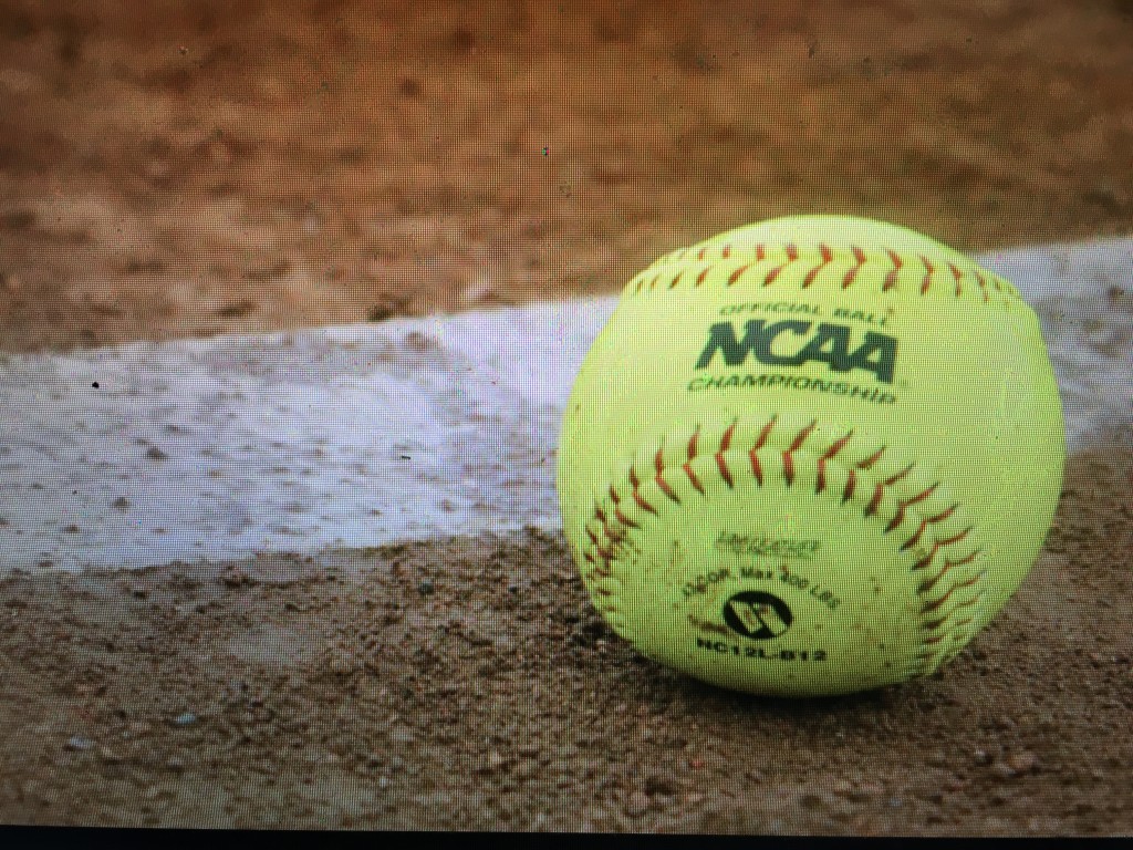 softball-fundraiser-indiegogo