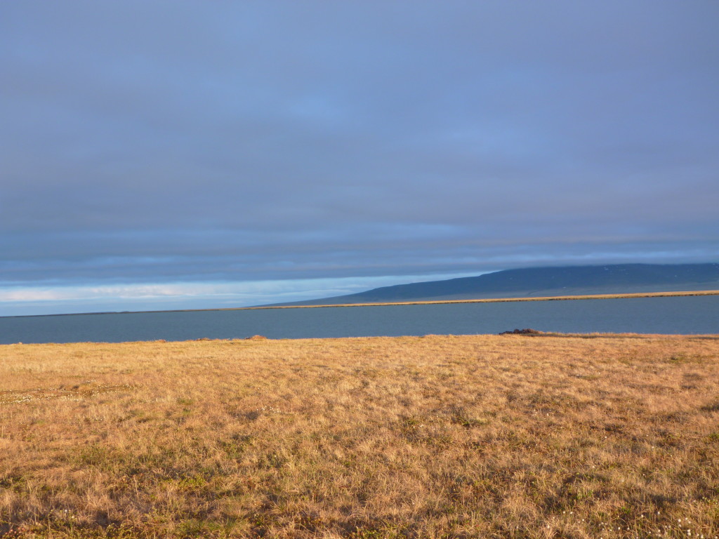 Volunteer work at a remote Russian Arctic station | Indiegogo