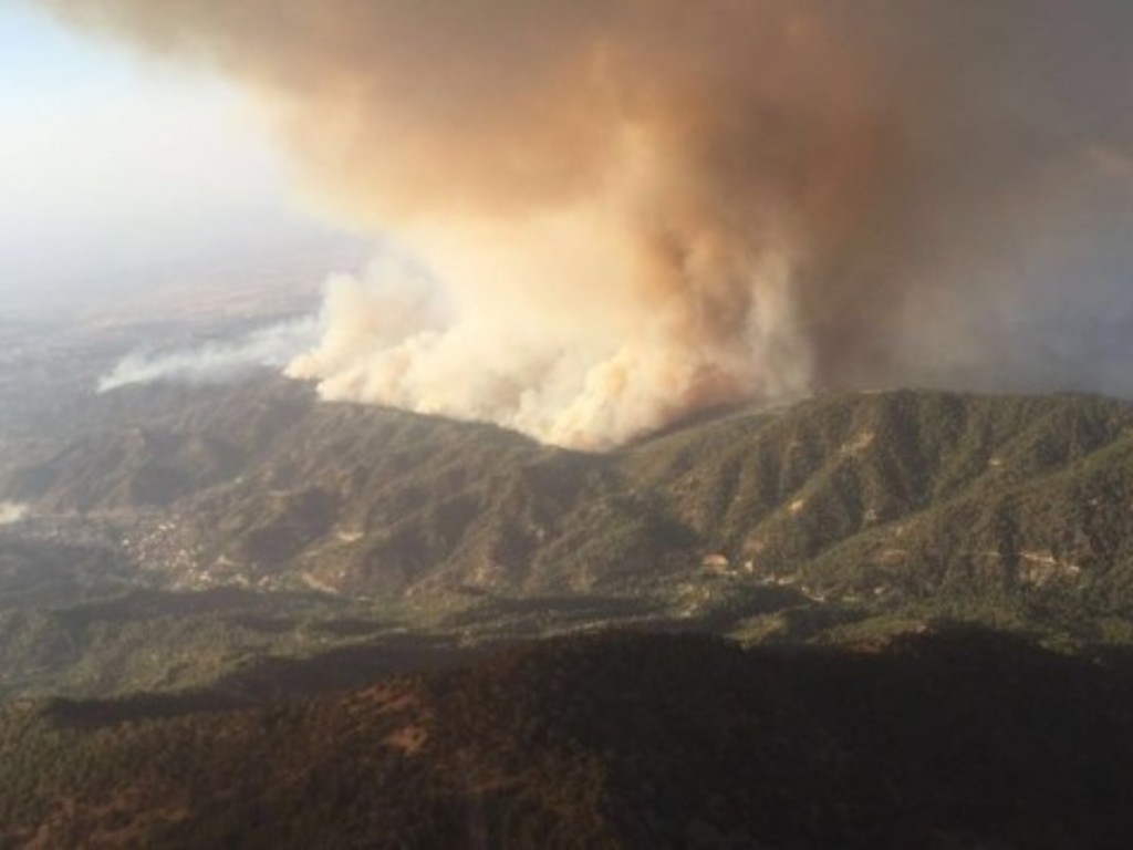 Fundraising for Cyprus Reforestation | Indiegogo