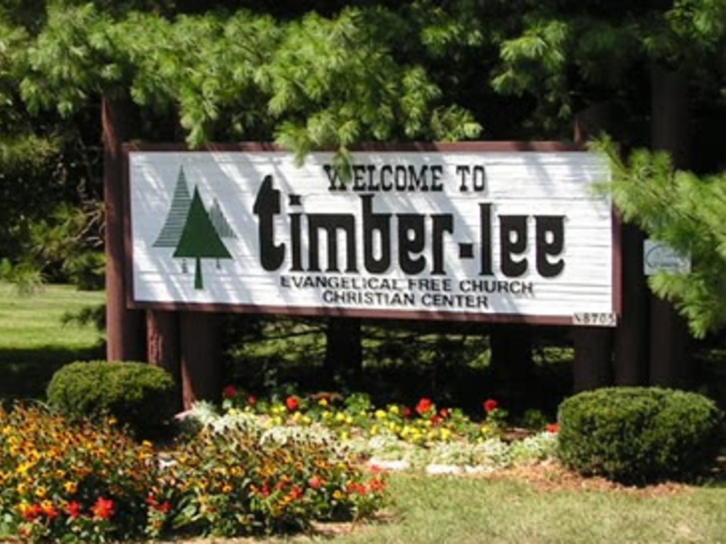 Camp Timberlee | Indiegogo