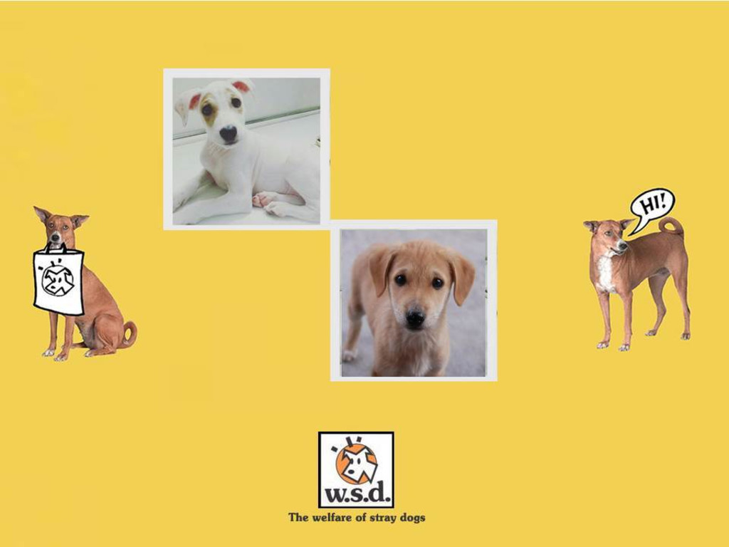 Wagging tails & warm hearts | Indiegogo