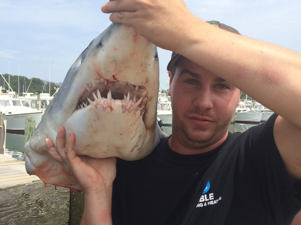 Funeral donations for Matt Fry | Indiegogo