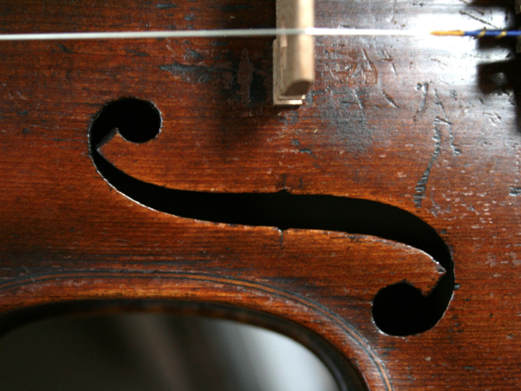 Help Su get a better fiddle. | Indiegogo