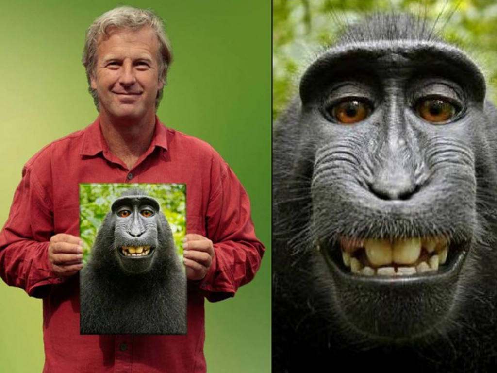 Help David Slater AKA 'Monkey Selfie' photographer | Indiegogo