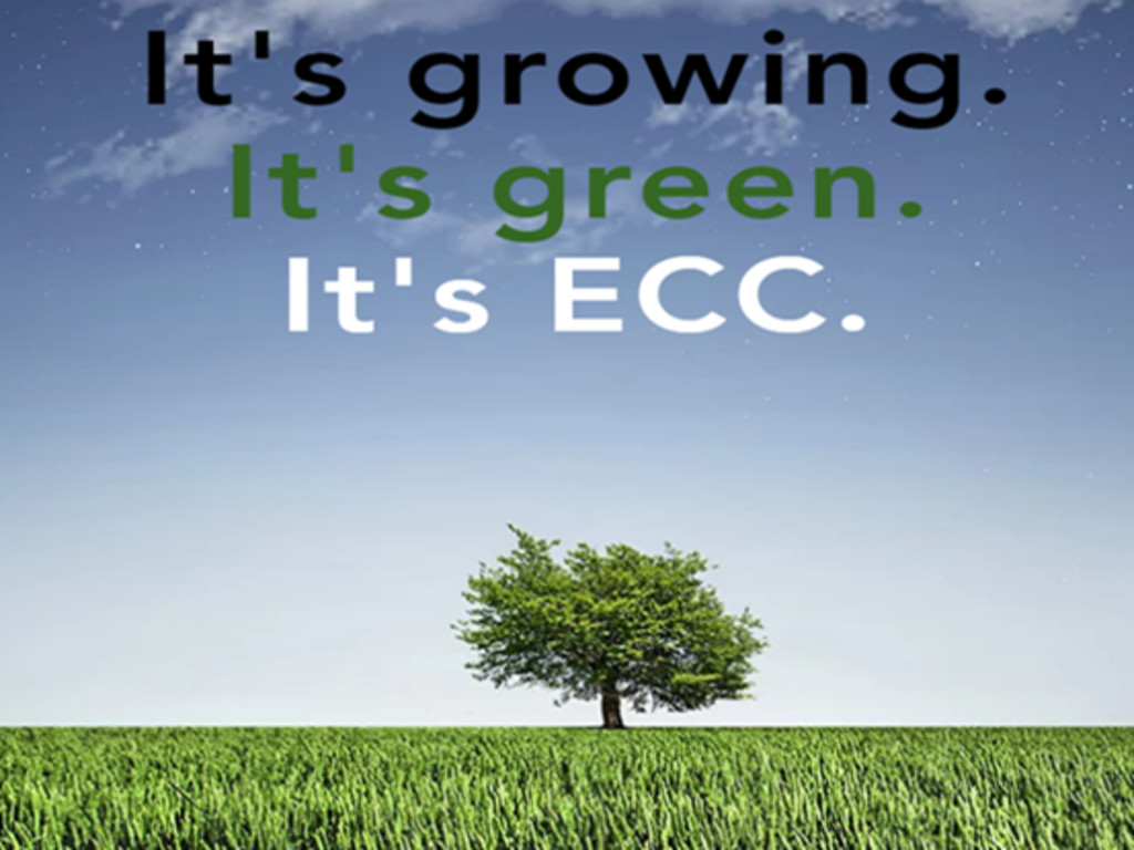 eccellentfaucet.com:The first ECC faucet | Indiegogo