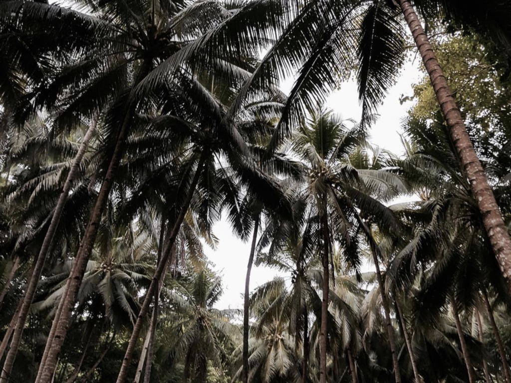 Reconnecting with Nature | Indiegogo