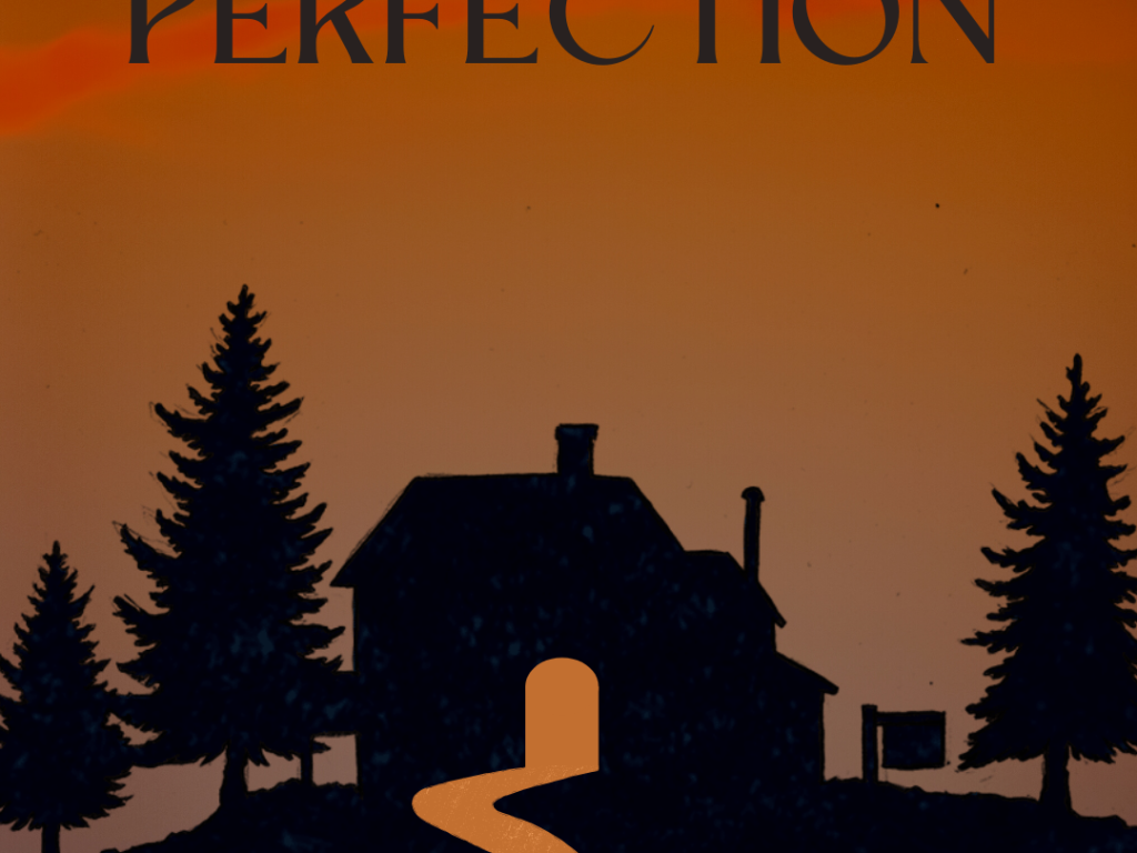 Perfection Short Film | Indiegogo