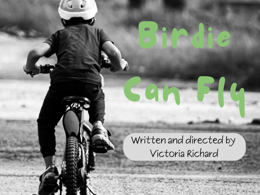Birdie Can Fly | Indiegogo