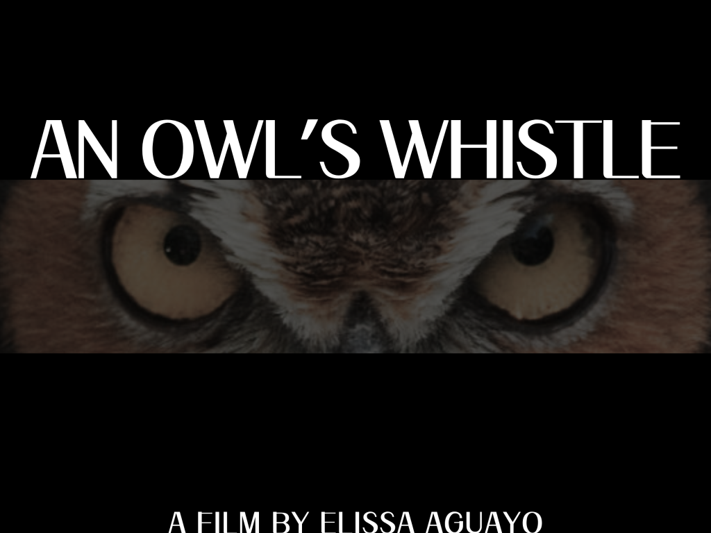 An Owl's Whistle | Indiegogo