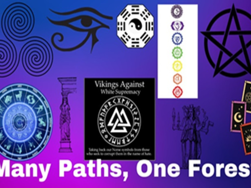 Many Paths, One Forest start legal entity | Indiegogo