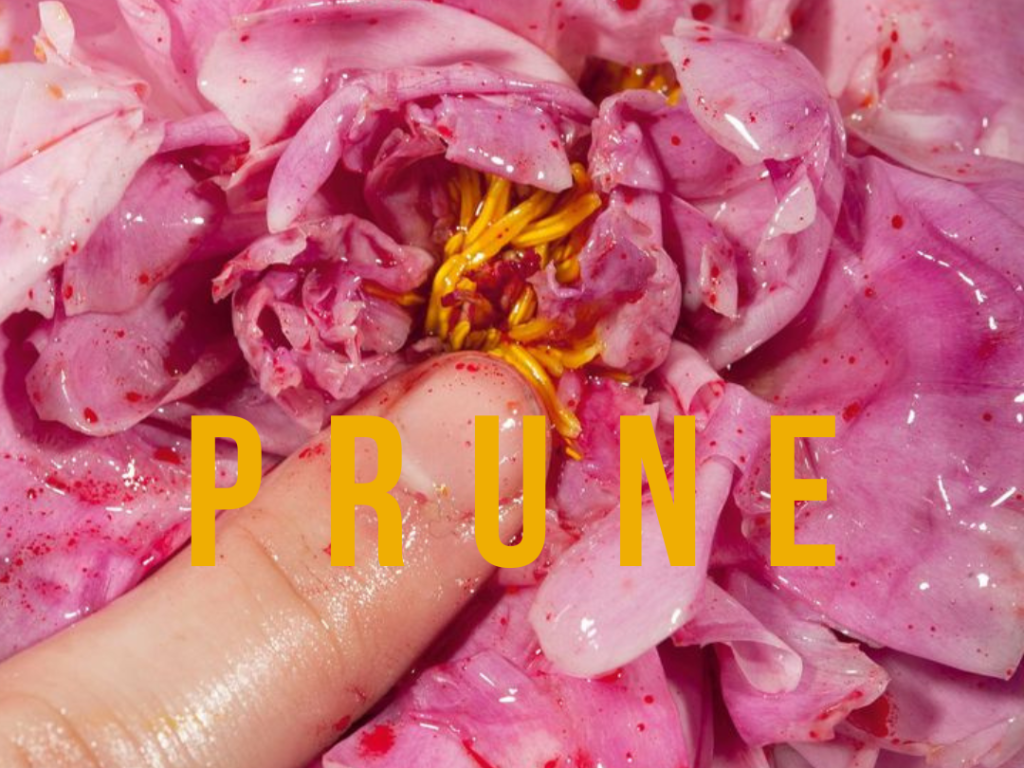 PRUNE Funding | Indiegogo