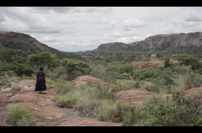 Backtail | The Chivanhu Project | 群眾集資趨勢分析