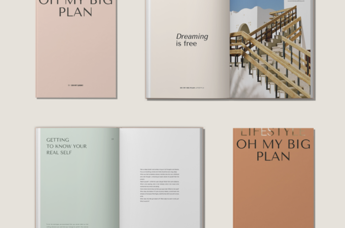 Backtail | OH MY BIG PLAN: Lifestyle Edition Planner | 群眾集資趨勢分析