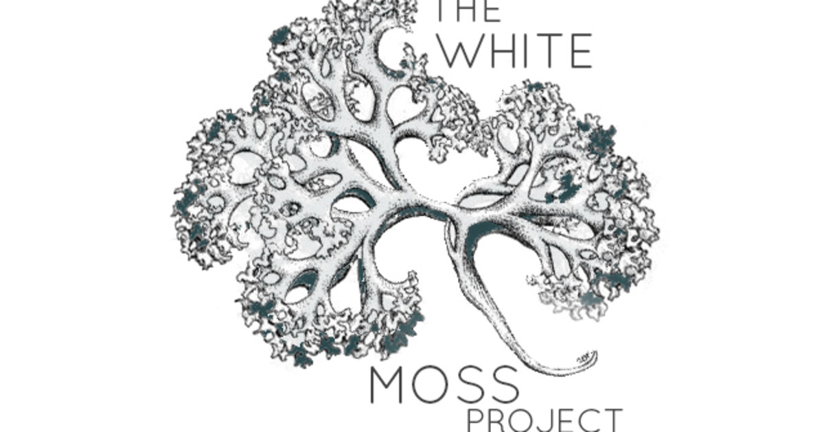 The White Moss Project | Indiegogo