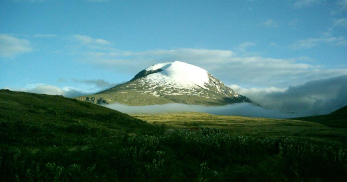 Rally for Rangers - Otgontenger Mountain, Mongolia | Indiegogo