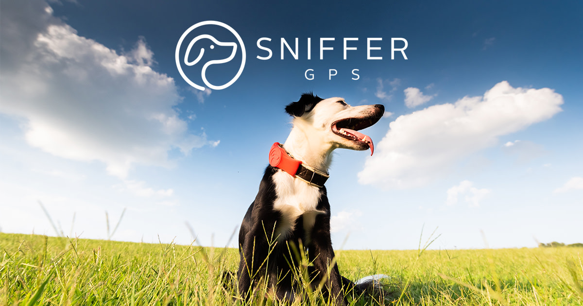 Sniffer GPS - The Ultimate Smart Collar | Indiegogo