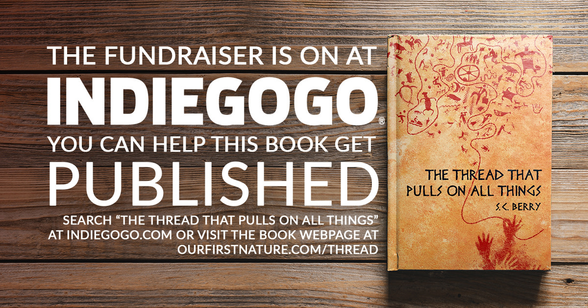 The Thread that Pulls on All Things | Indiegogo
