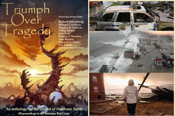 Triumph Over Tragedy: an anthology for the victims of Sandy | Indiegogo