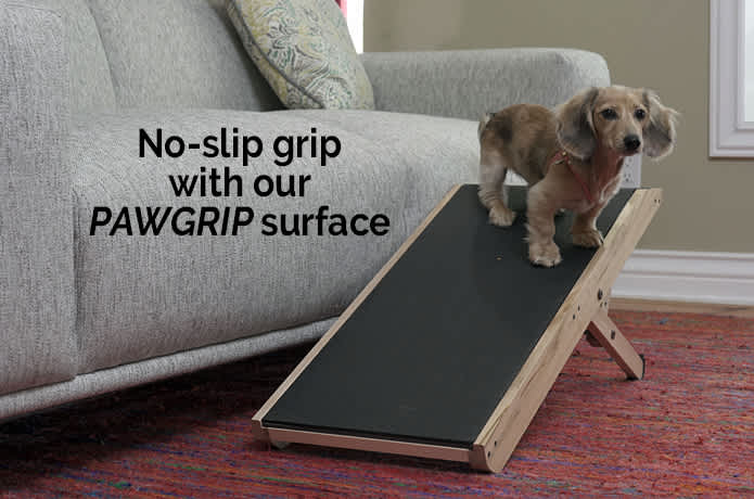 DoggoRamps - The Couch Ramp for Dogs! | Indiegogo