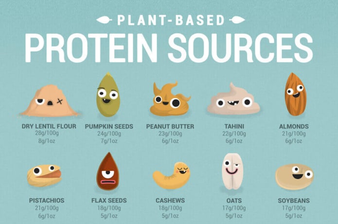 Simple Happy Kitchen Illustrated Plant Based Guide | Indiegogo