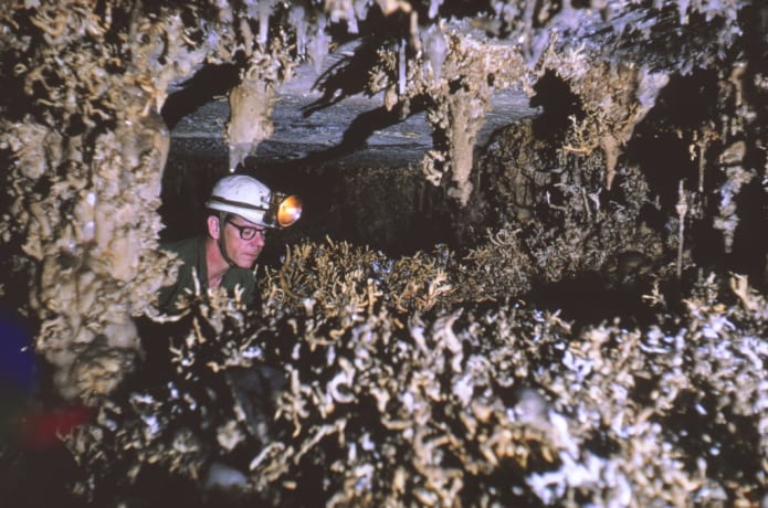 Fern Cave: The Discovery, Exploration, and History of Alabama's ...