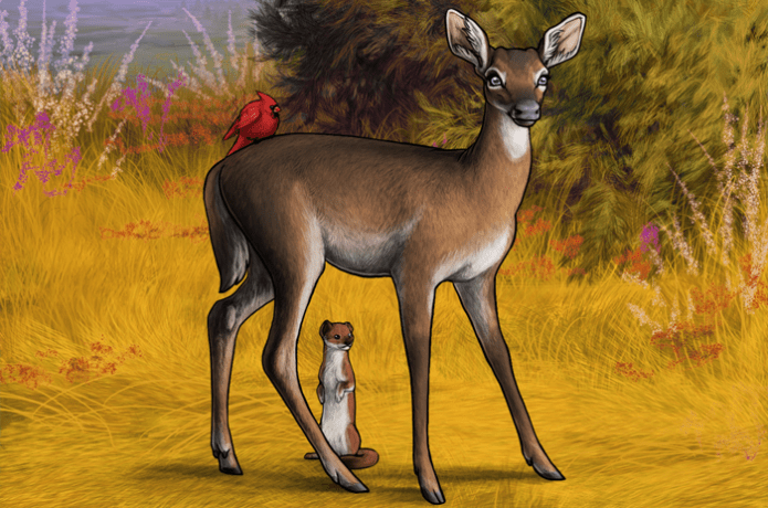 Deearly.com - A Breeding Sim | Indiegogo