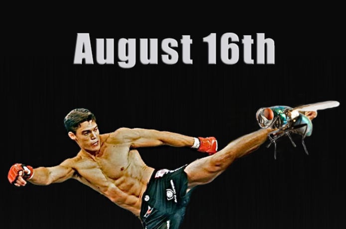 Bug-A-Salt Introduces Camofly 2.0 | Indiegogo