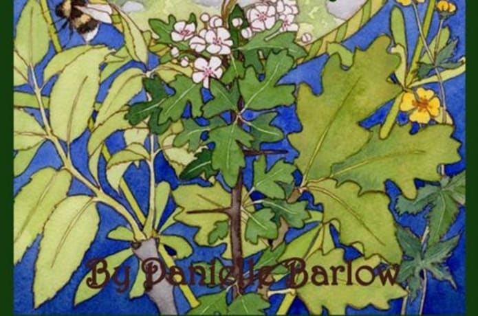 The Green Wheel Oracle | Indiegogo