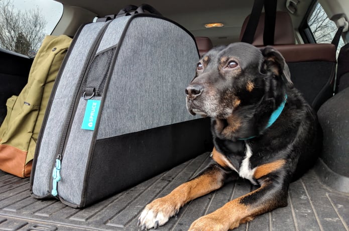 Spruce: The Smartest Travel Dog Bed Ever | Indiegogo
