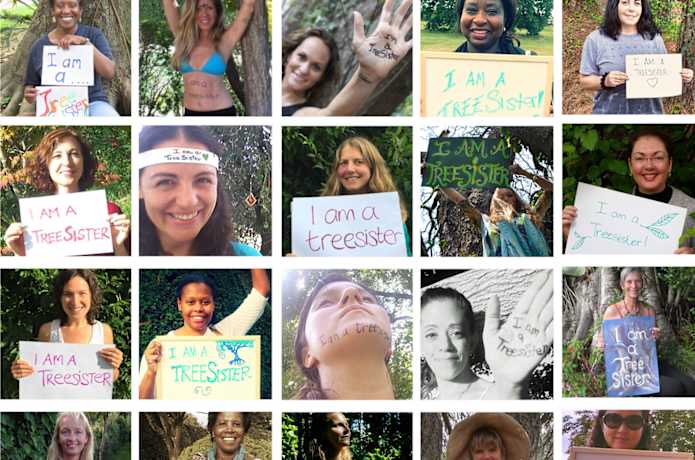 TreeSisters: Igniting a Reforestation Revolution | Indiegogo