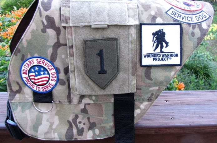 Dog Vests 4 Vets | Indiegogo