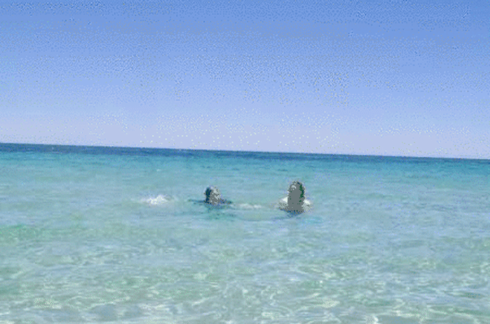 Perth Mermaids: Keep the Magic Alive! | Indiegogo