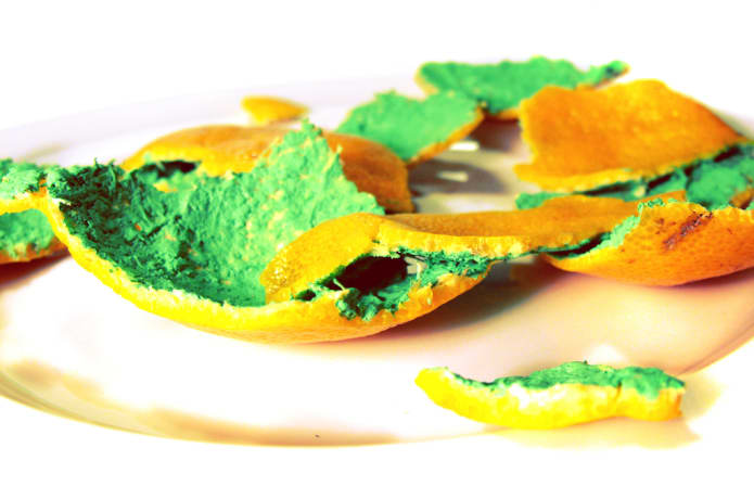 Inedible Recipes: Beautiful Food | Indiegogo