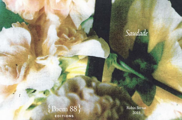 Saudade, a self-published poetry chapbook | Indiegogo