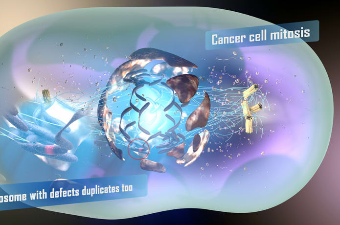 How cancer develops: detailed animation | Indiegogo