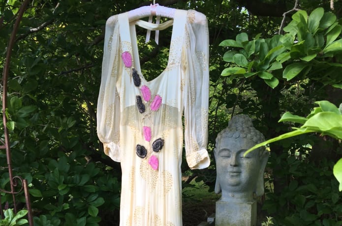 Renaissance & Chamber Orchestra: Live Concert DVD | Indiegogo