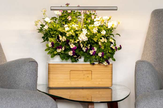 totam planter- Modular - Automated - Self-watering | Indiegogo