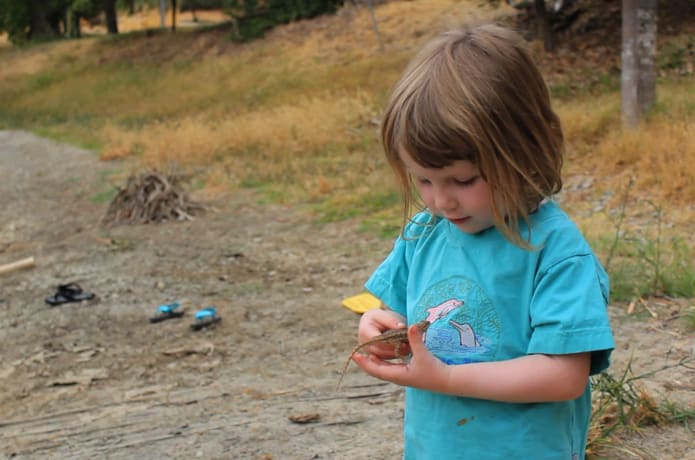 The Nature Connection Pyramid | Indiegogo