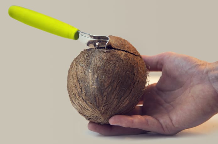 Cococrack: the easy way to open coconuts! | Indiegogo